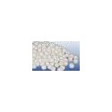 35lb Bucket Chlorine Pellets
