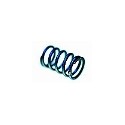 Valve Spring for Chem Pump